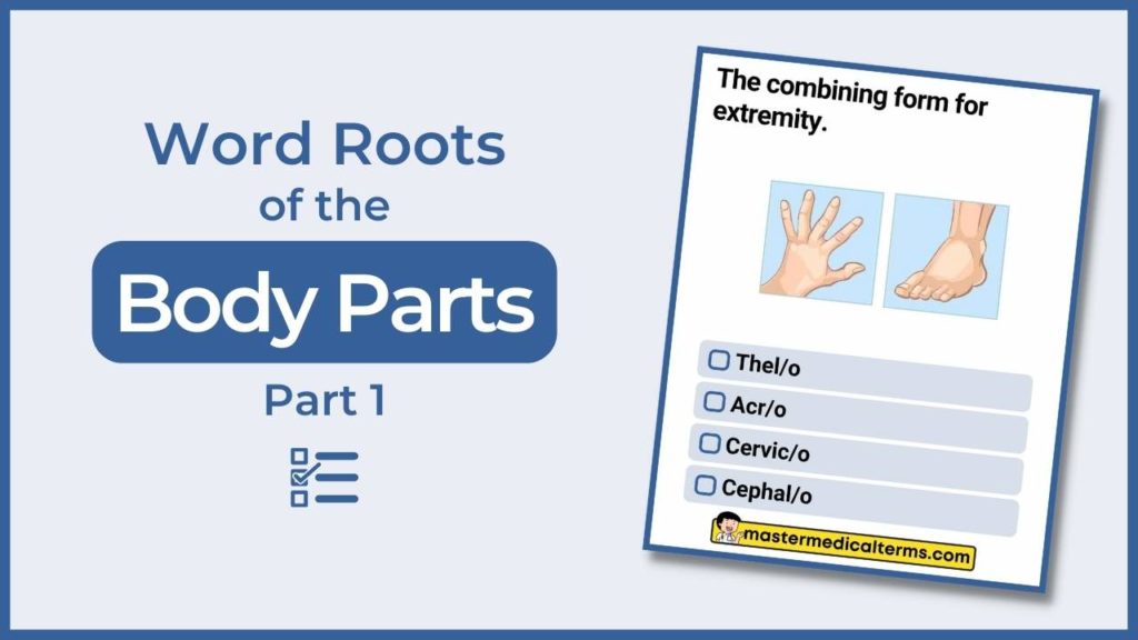 Word Roots of the Body Parts (Part 1) - Master Medical Terms