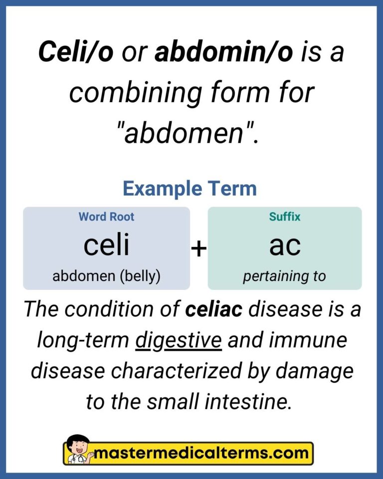 Word Roots of the Body Parts - Master Medical Terms