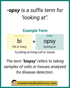 -opsy -opsy - Master Medical Terms