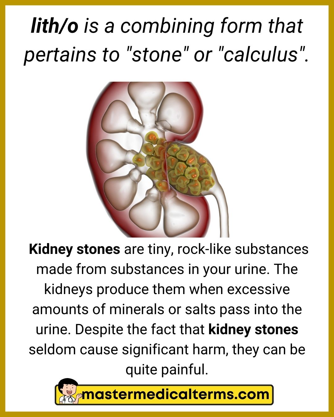 Calculus Medical Term What Is The New Calculus?, Gabriel, John, EBook